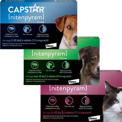 Capstar Tablets For Dogs - PetMedMart | Pet Pharmacy