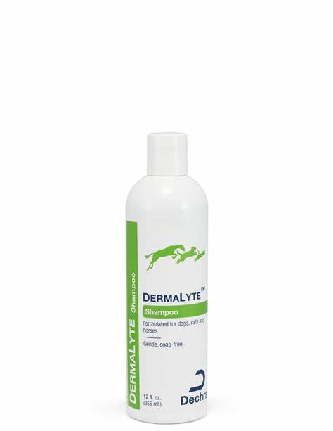 DermaLyte Shampoo, 12oz - PetMedMart | Pet Pharmacy
